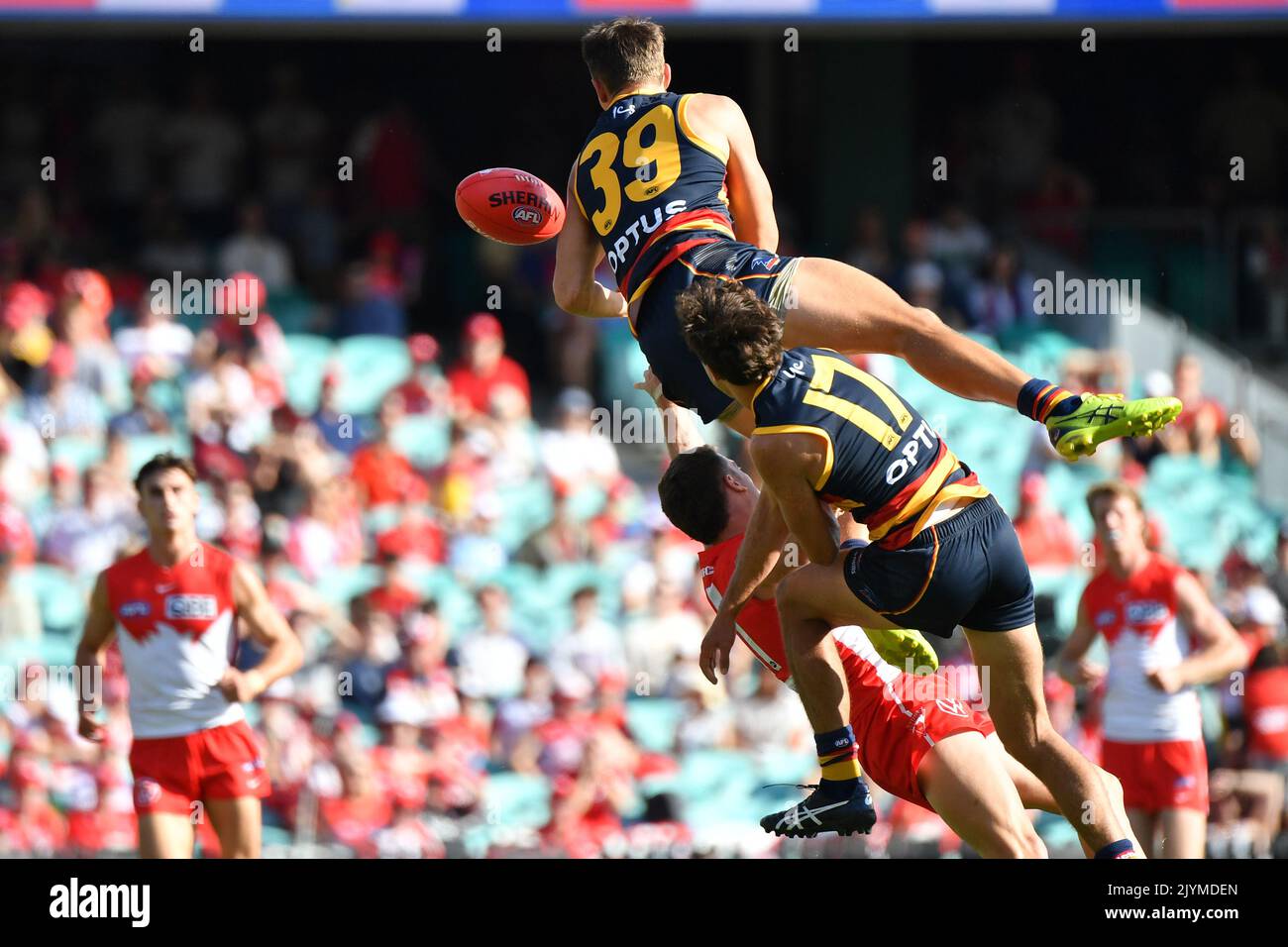 Tom Doedee and Will Hamill of the Crows knock Tom Papley of the Swans ...