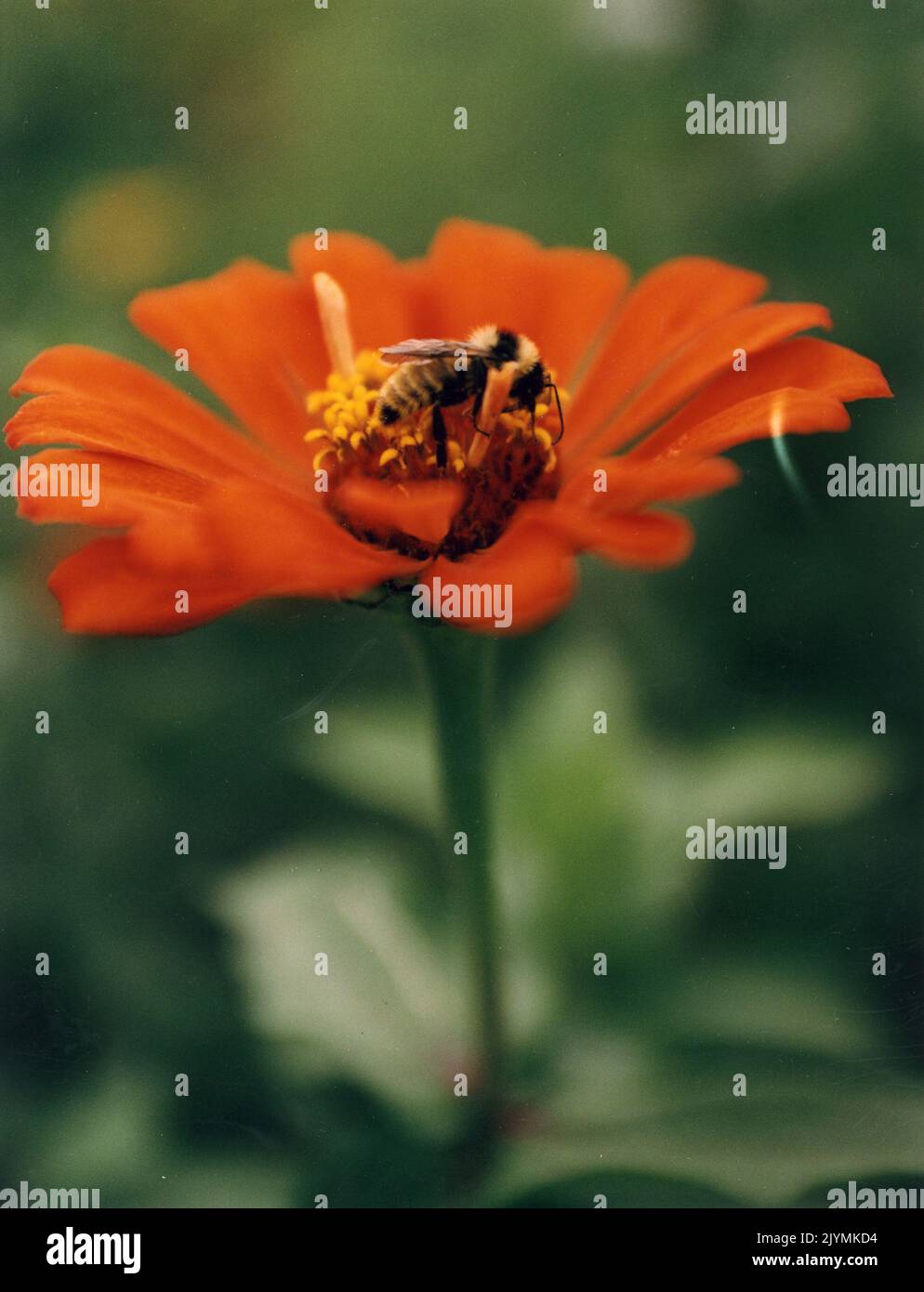 Scenic views: Washington, D.C. buildings, landscapes, monuments Stock ...