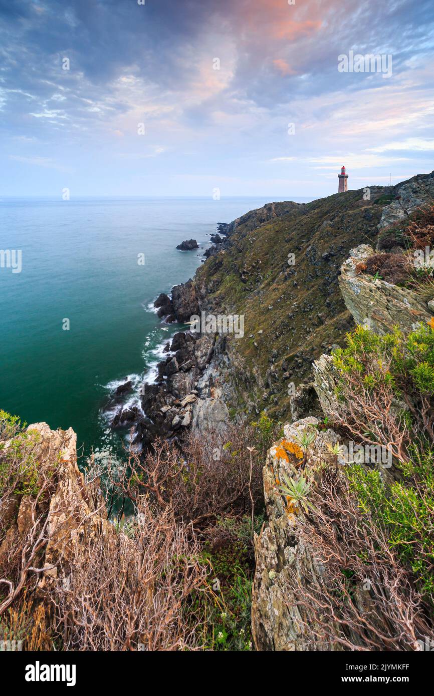 View of Cap Bear and its lighthouse at sunset, Cap Bear and Côte ...