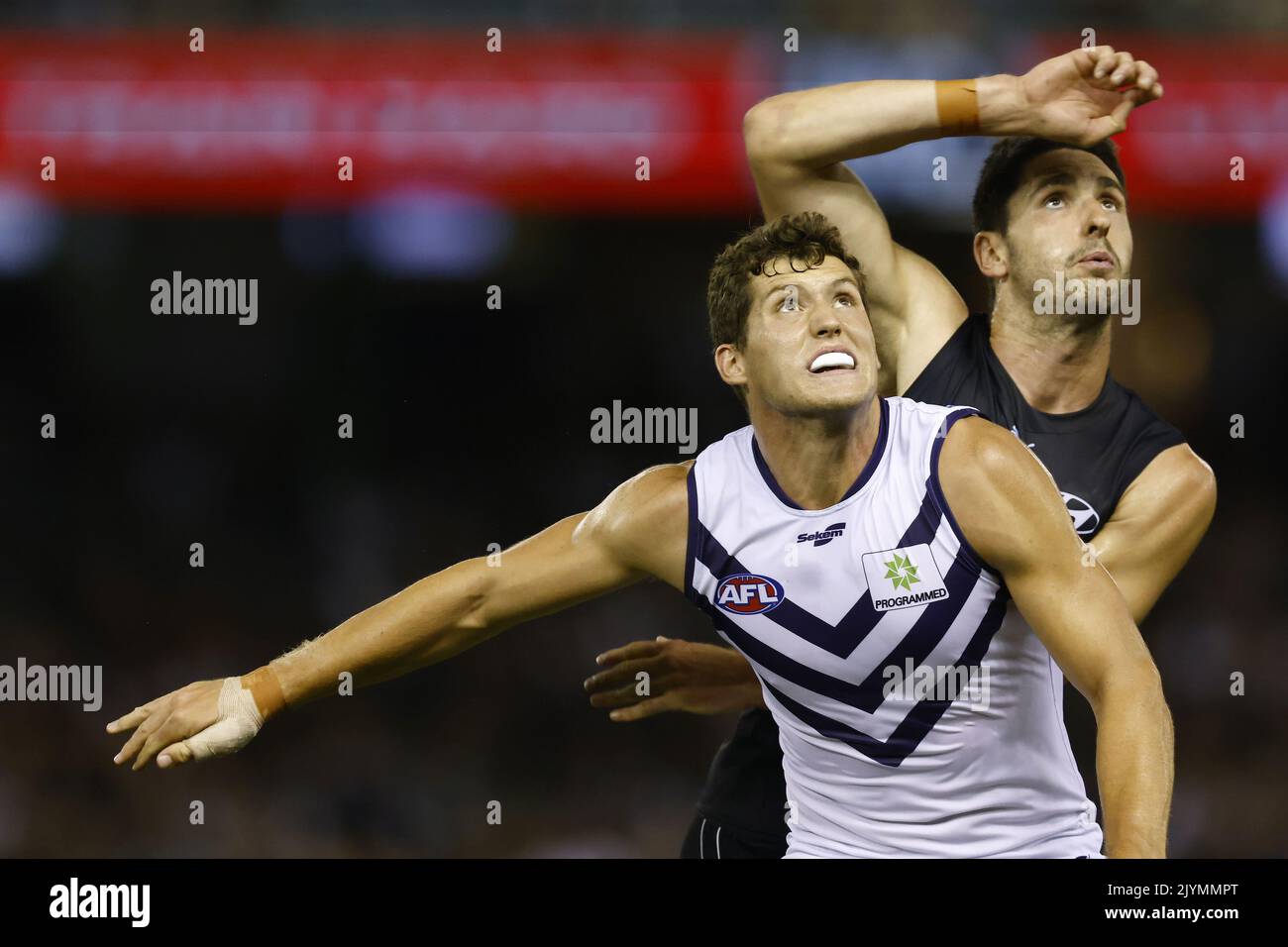 Marc Pittonet of the Blues and Lloyd Meek of the Dockers contest the ...