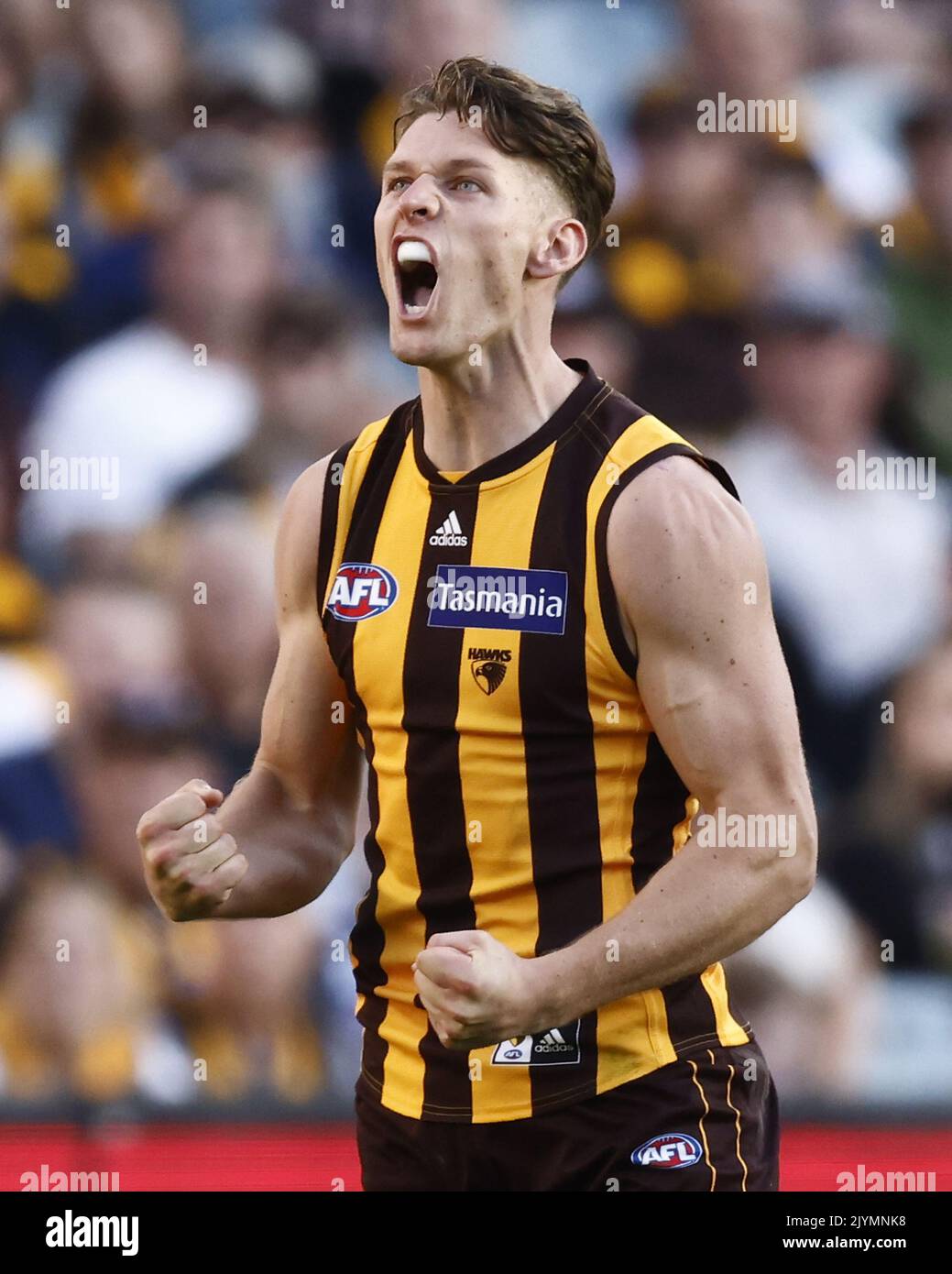 Jacob Koschitzke of the Hawks celebrates a goal during the Round 3 AFL ...