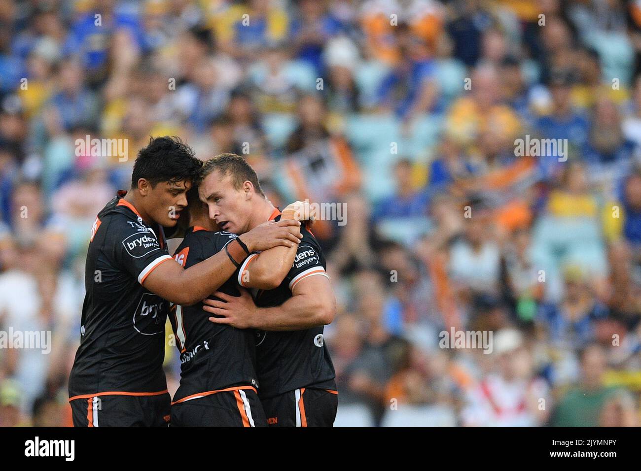 Jacob Liddle of the Tigers celebrates after scoring a try during the ...