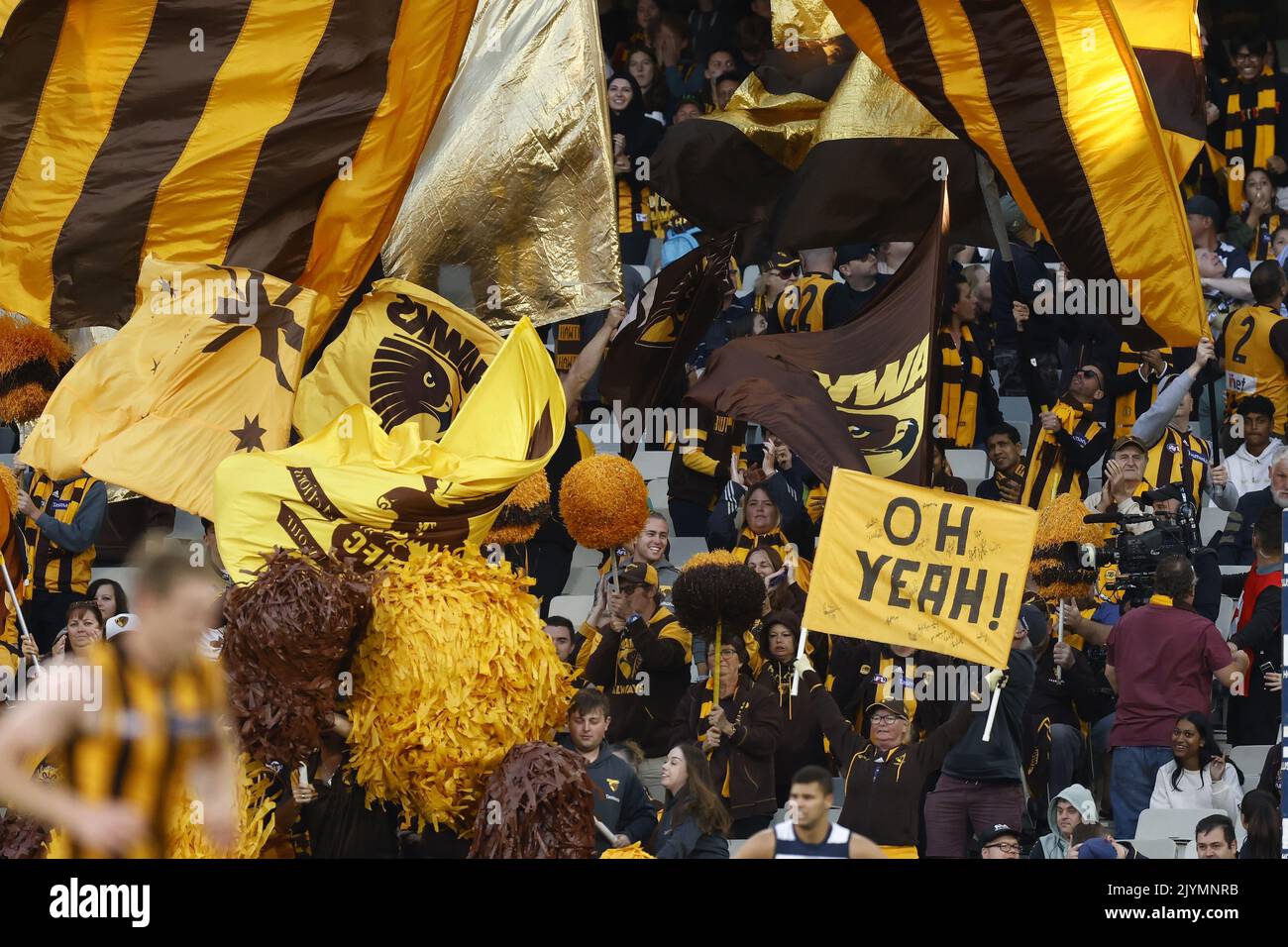 Hawks fans show their support during the Round 3 AFL match between the ...