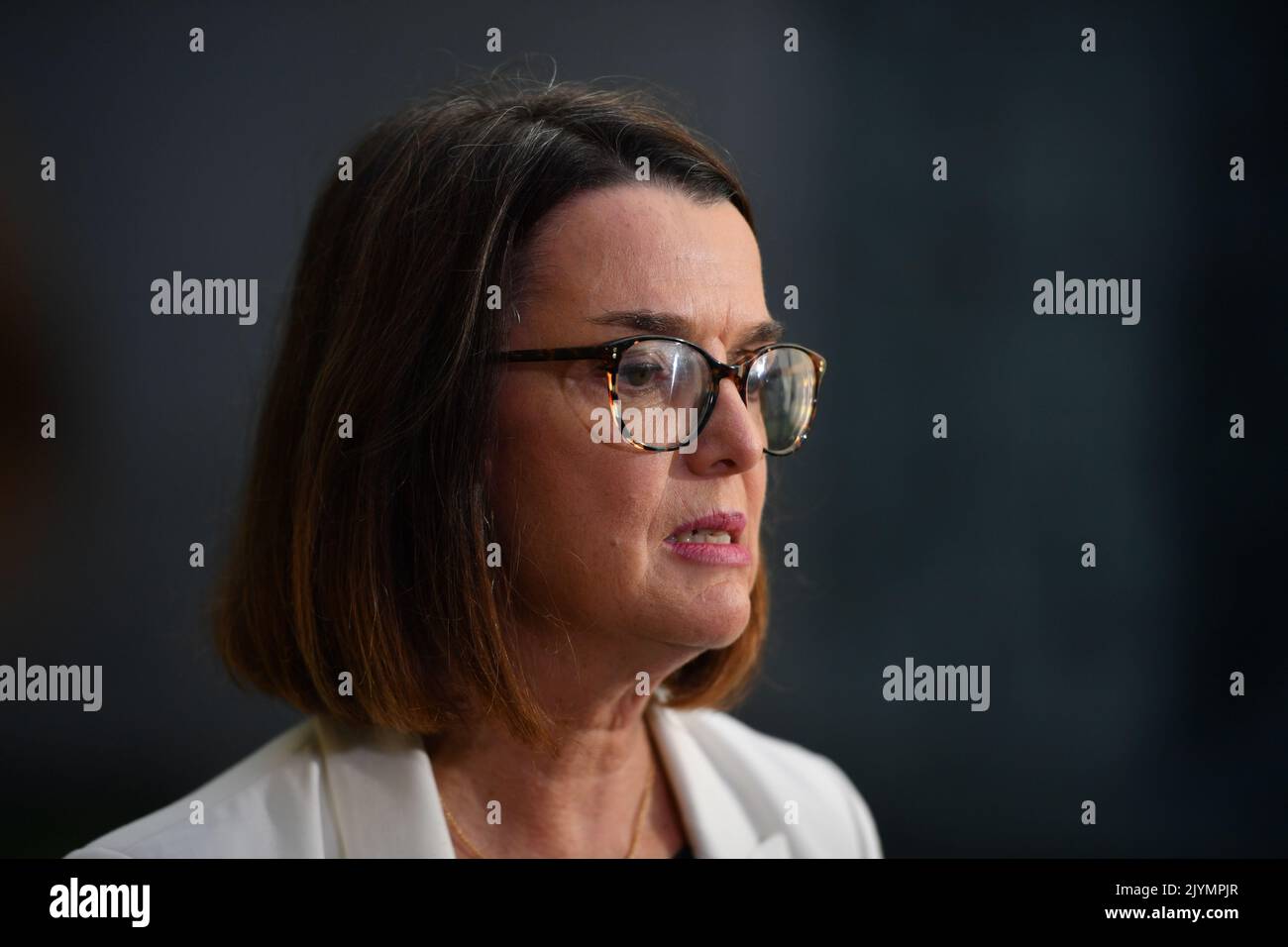 Minister for Families Anne Ruston at a press conference at Parliament ...