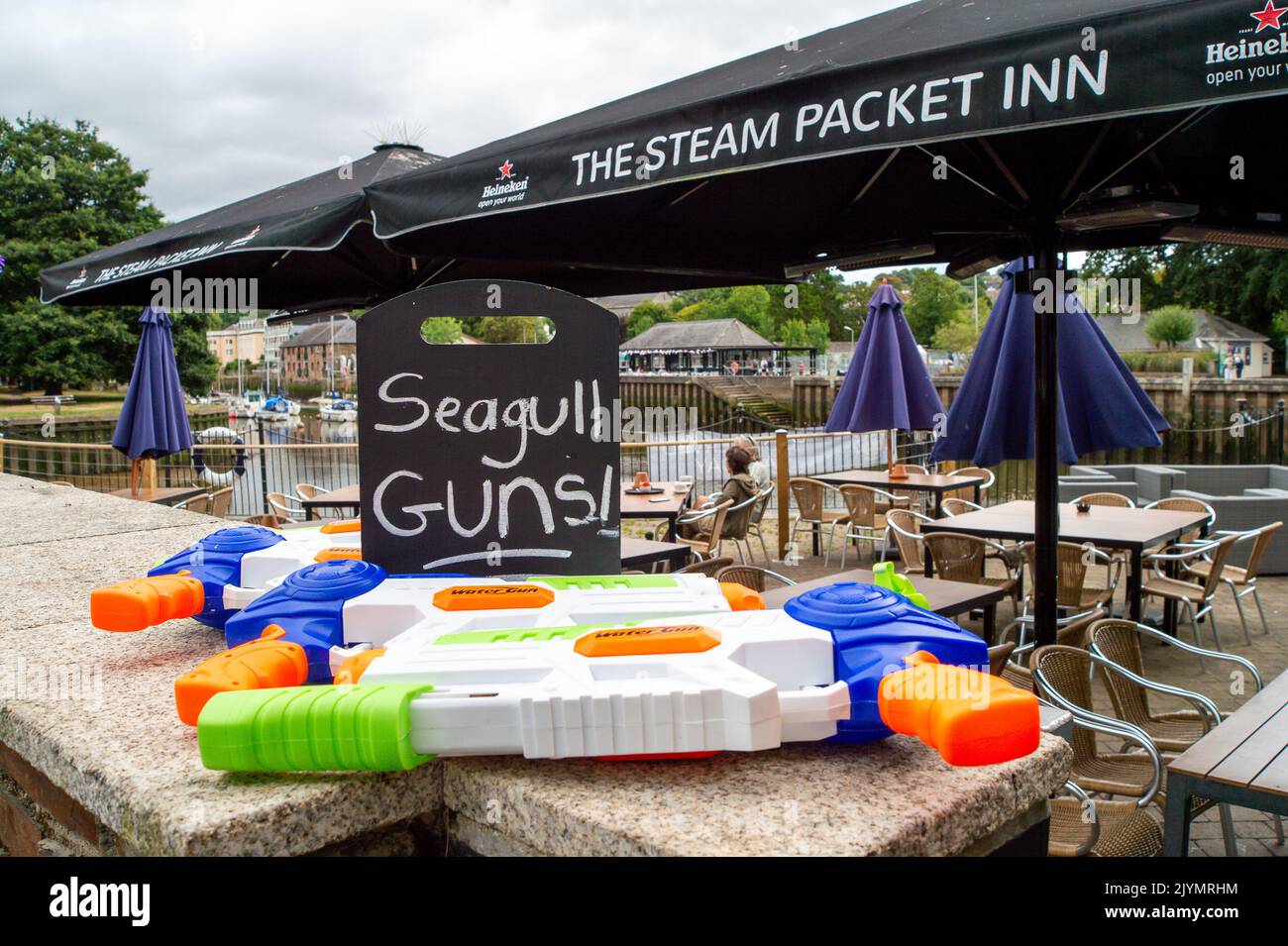 Totnes, South Devon, UK. 25th July, 2022. A water gun to frighten off ...