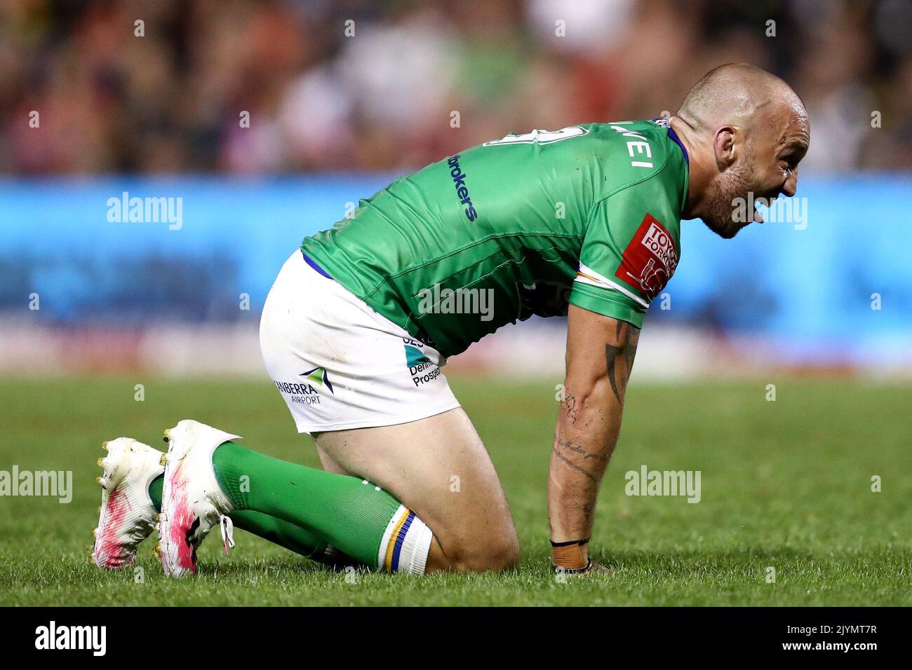 Josh Hodgson of the Raiders reacts during the Round 5 NRL match between ...