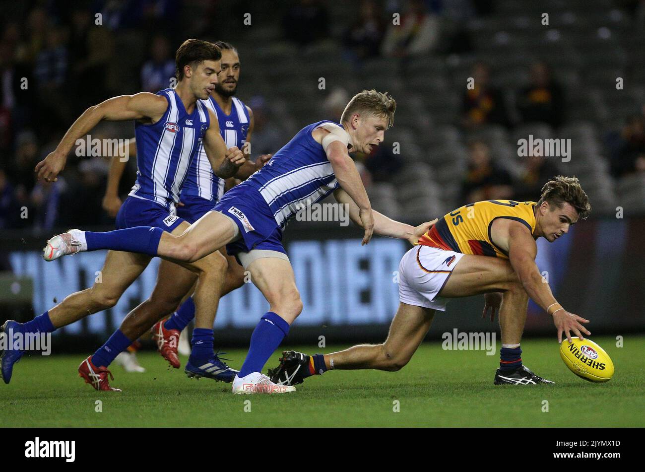 Ben Keays of the Crows under pressure from Jack Ziebell of the ...