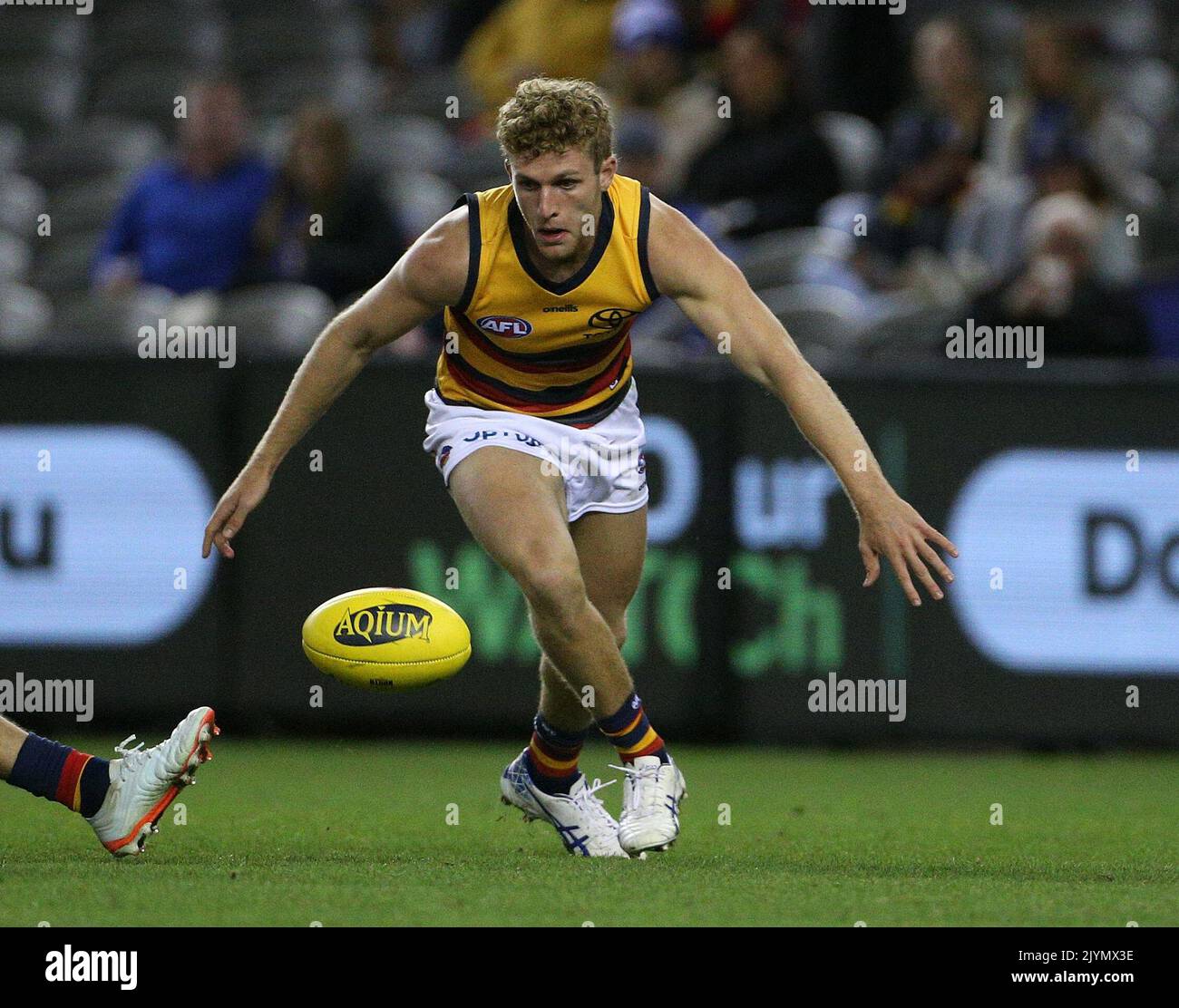 Andrew McPherson of the Crows chases the ball during the Round 4 AFL ...