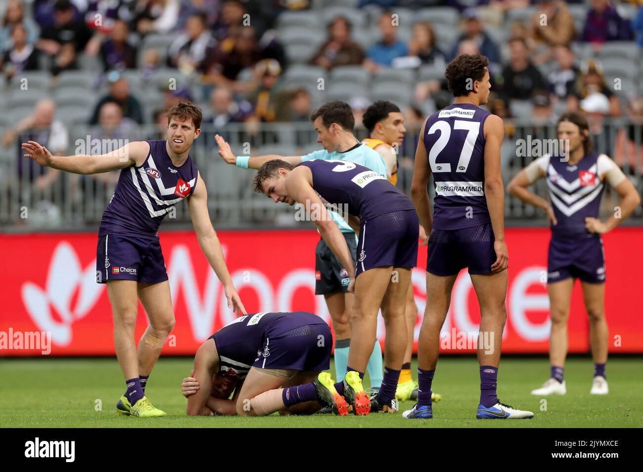 Luke Ryan of the Dockers lays injured during the Round 4 AFL match ...