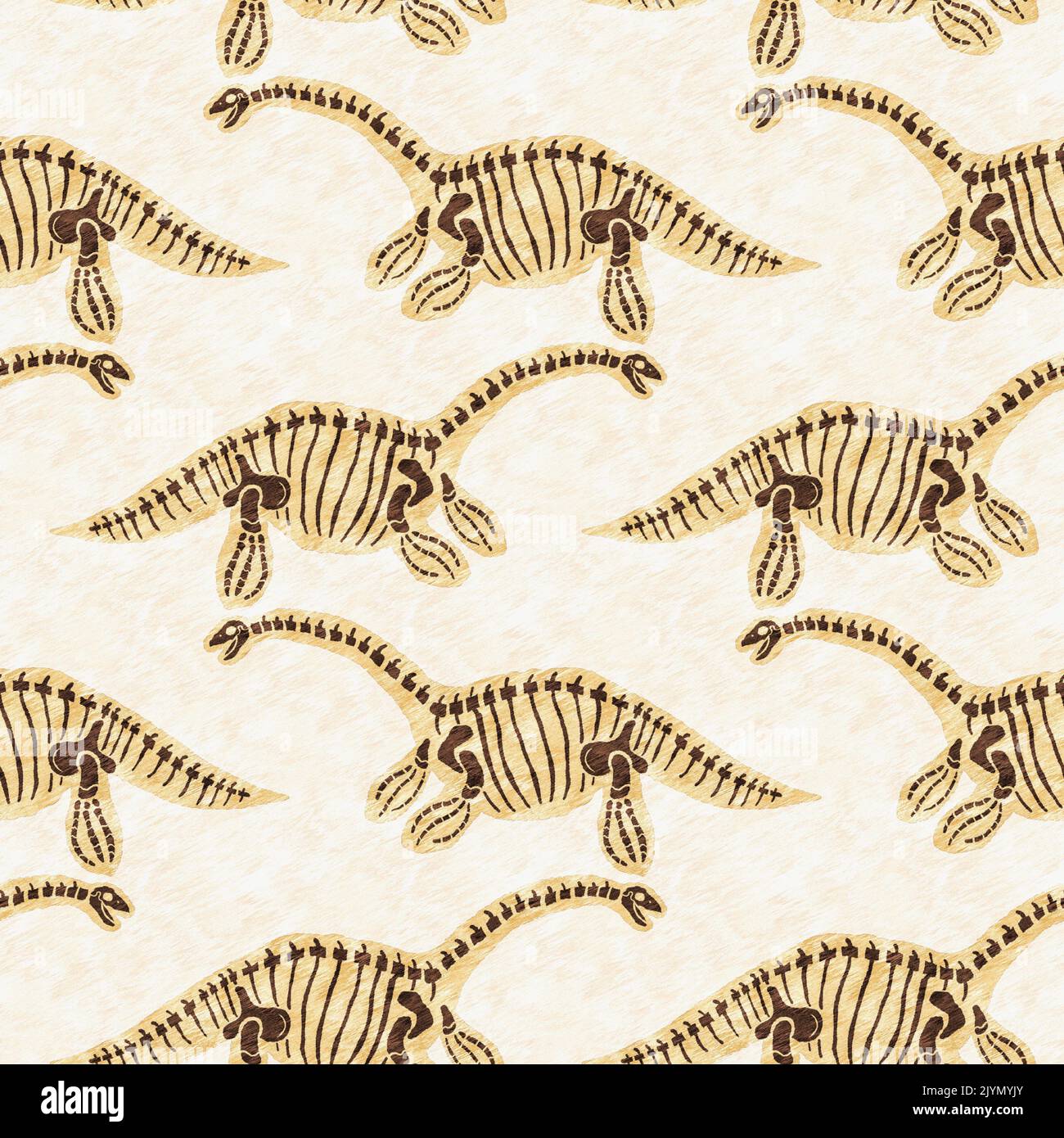 Plesiosaurus bones hi-res stock photography and images - Alamy