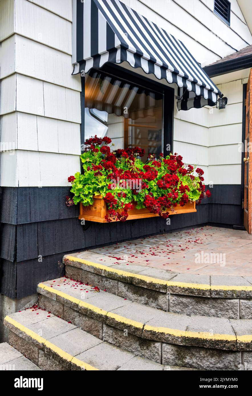 Window flowers under black and white stripy canopy Stock Photo - Alamy