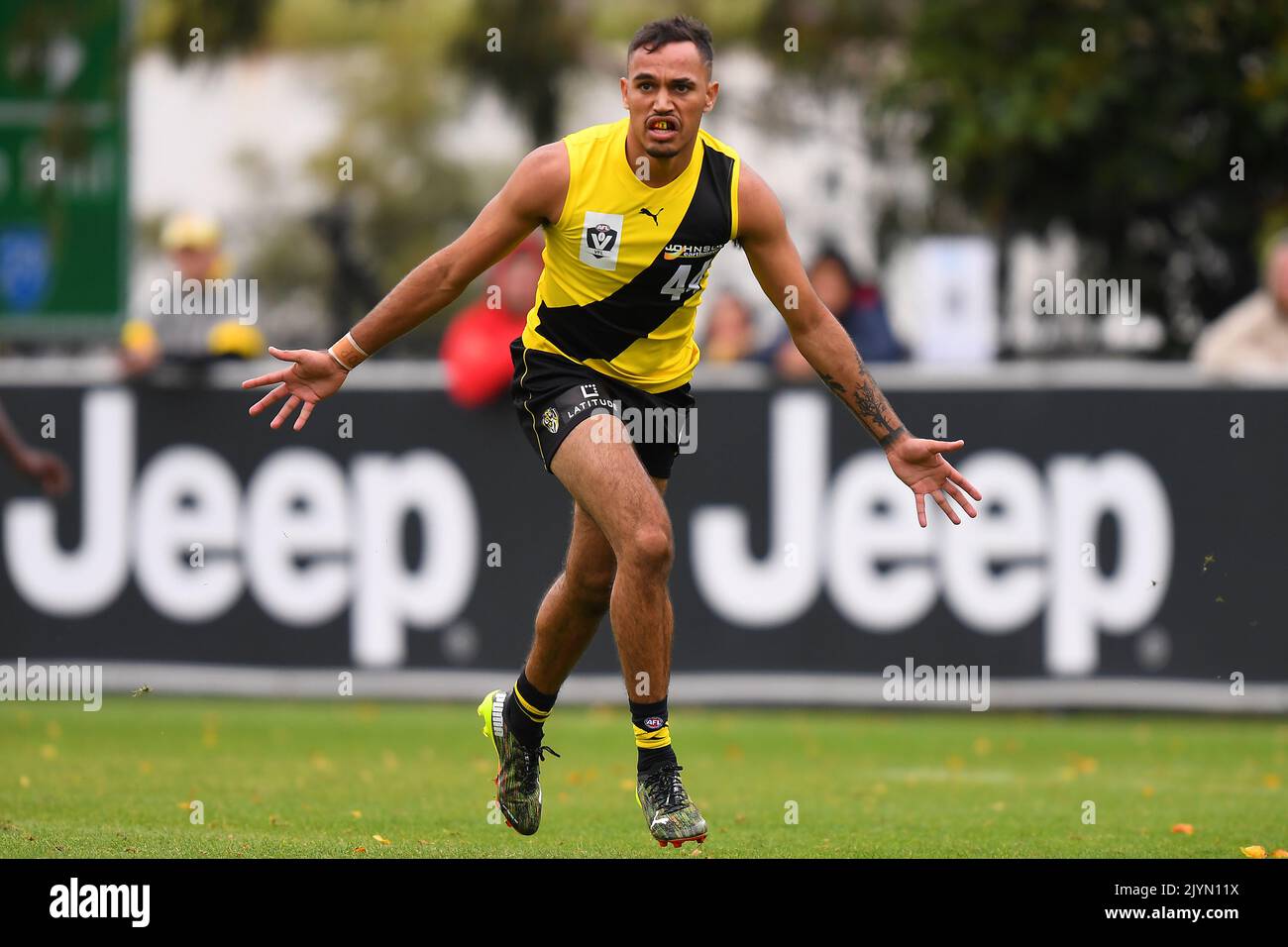Sydney Stack of the Tigers in action during the Round 1 VFL match ...