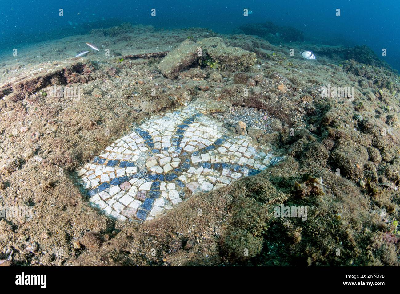 One of the polychrome mosaics situated in the thermal complex of Lacus ...