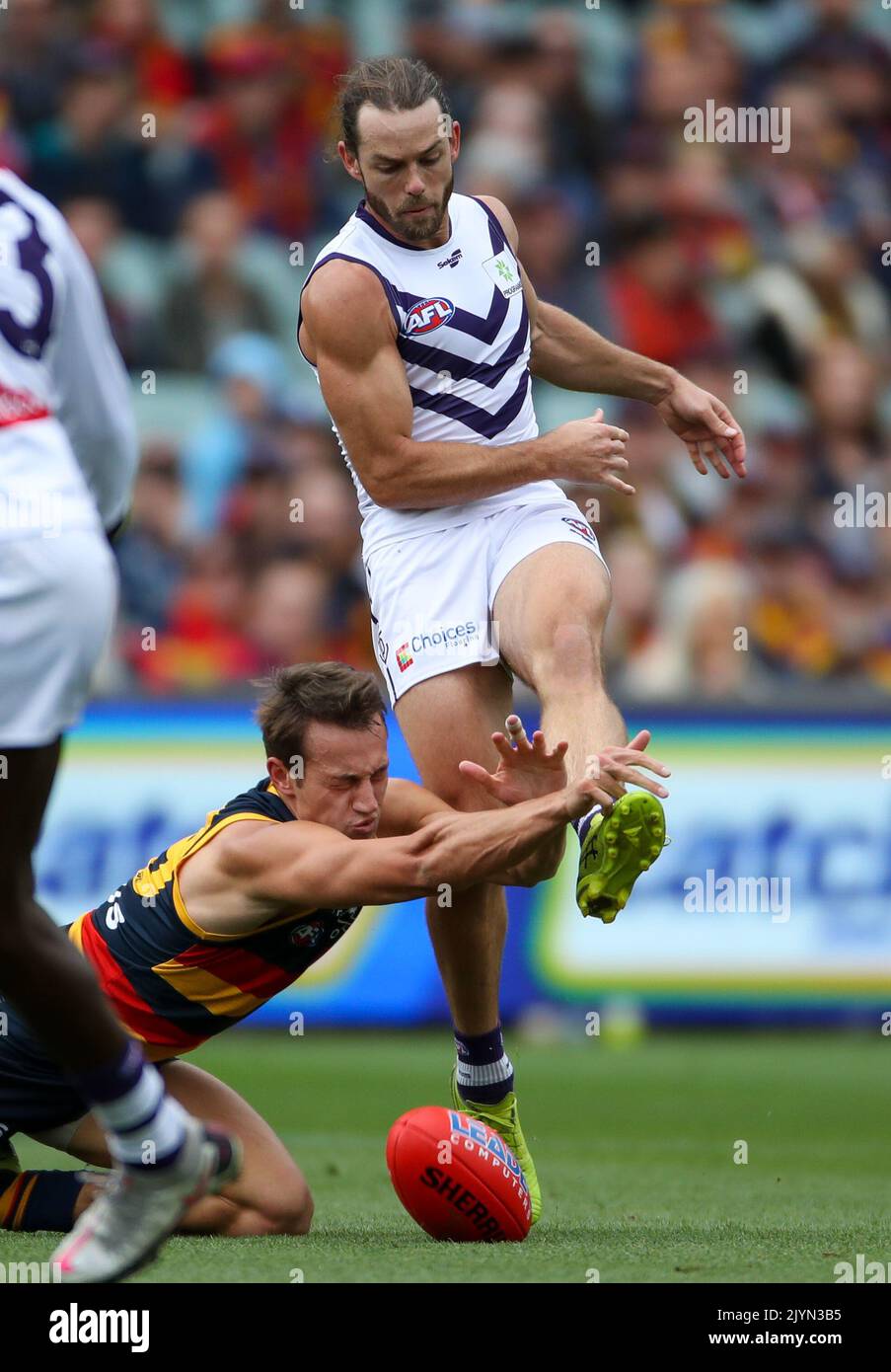Tom Doedee of the Crows smothers the kick of Travis Colyer of the ...