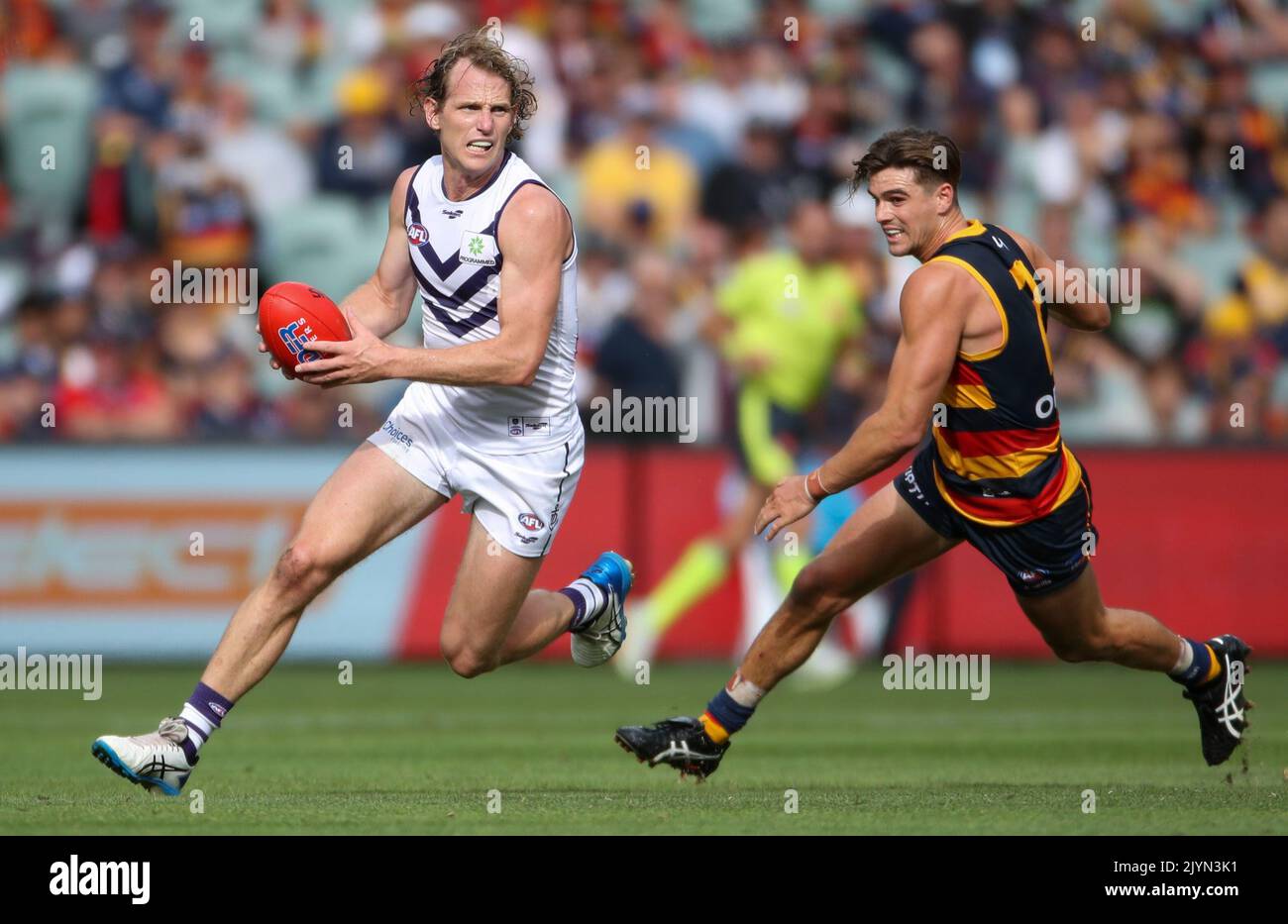 David Mundy of the Dockers chased by Ben Keays of the Crows during the ...