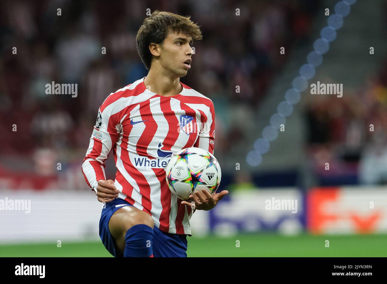Joao felix porto hi-res stock photography and images - Alamy