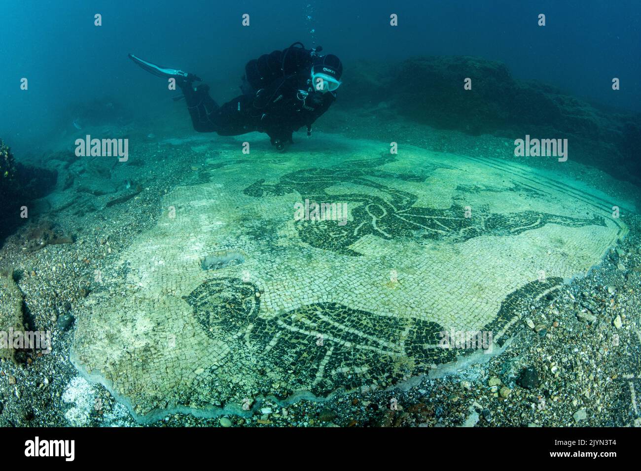 Scuba diver exploring a Bichrome mosaic floor in the apodyterium of the ...