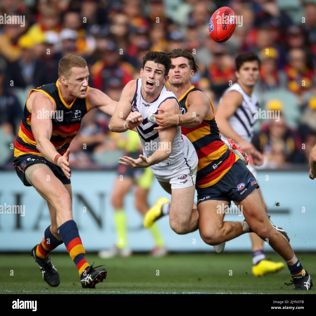 Andrew Brayshaw of the Dockers is tackled by Reilly O'Brien and Ben ...