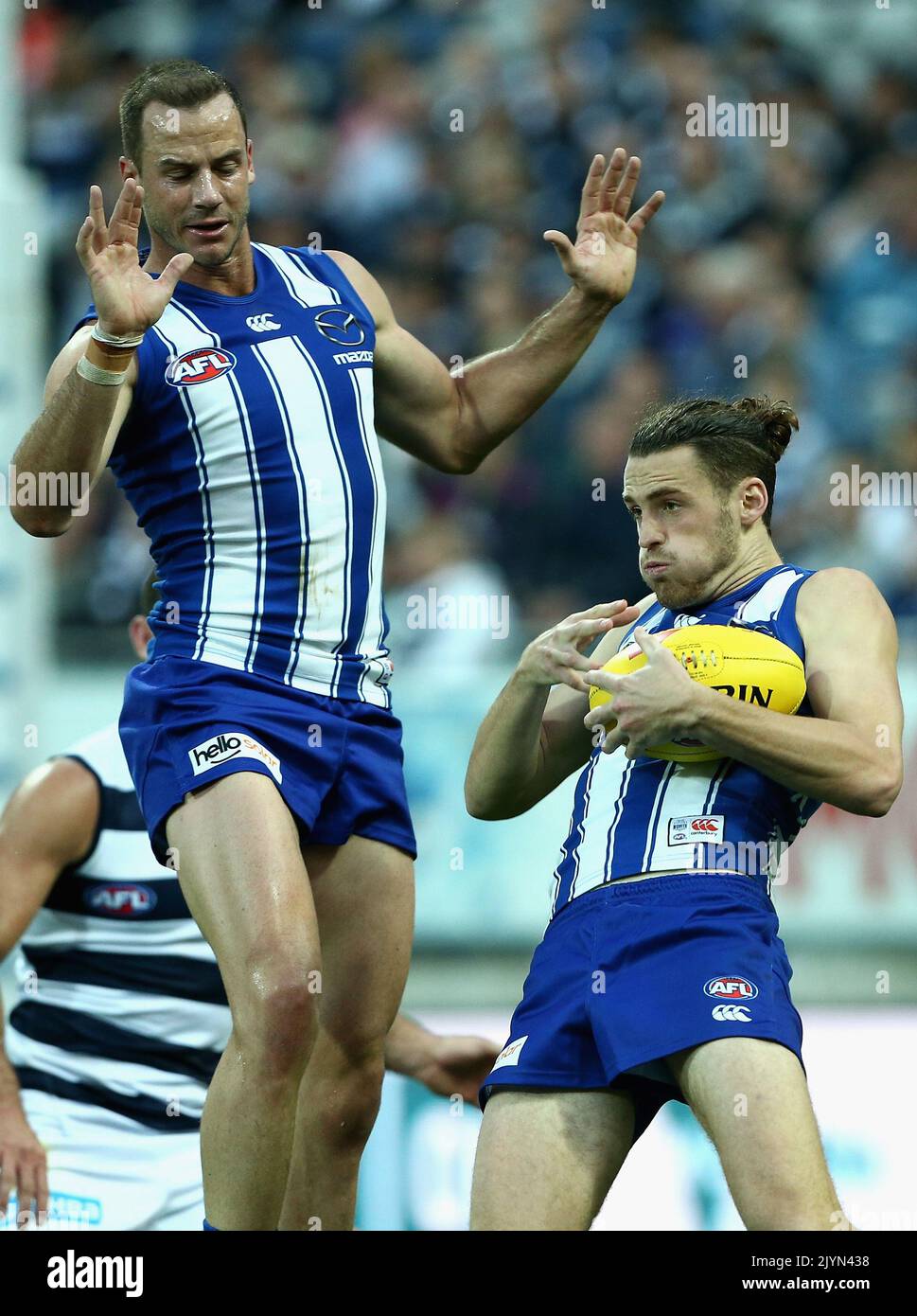 Lachie Young of the Kangaroos takes a mark during the Round 5 AFL match ...