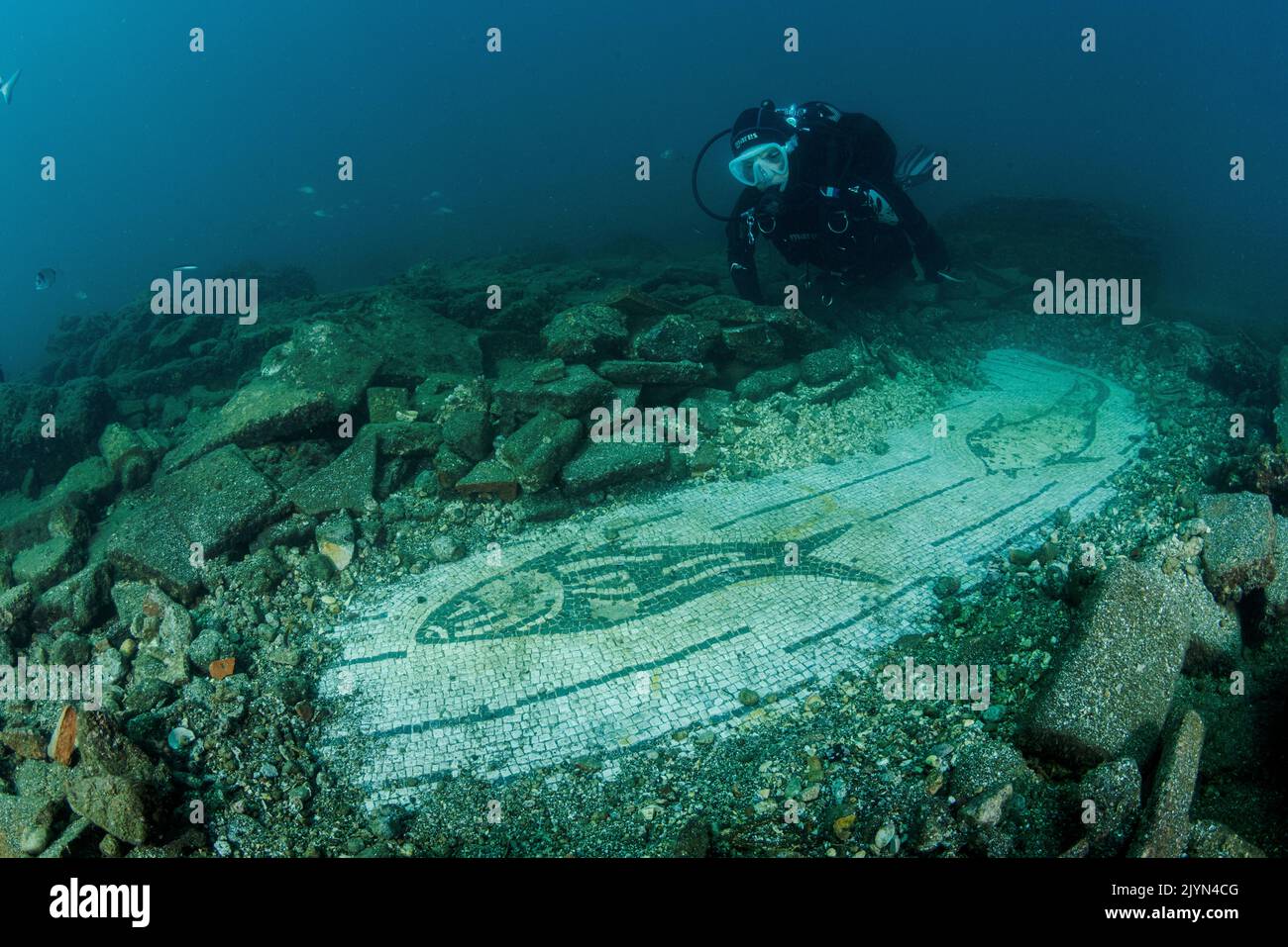 Scuba diver exploring a mosaic of the third century AD, with a maritime ...