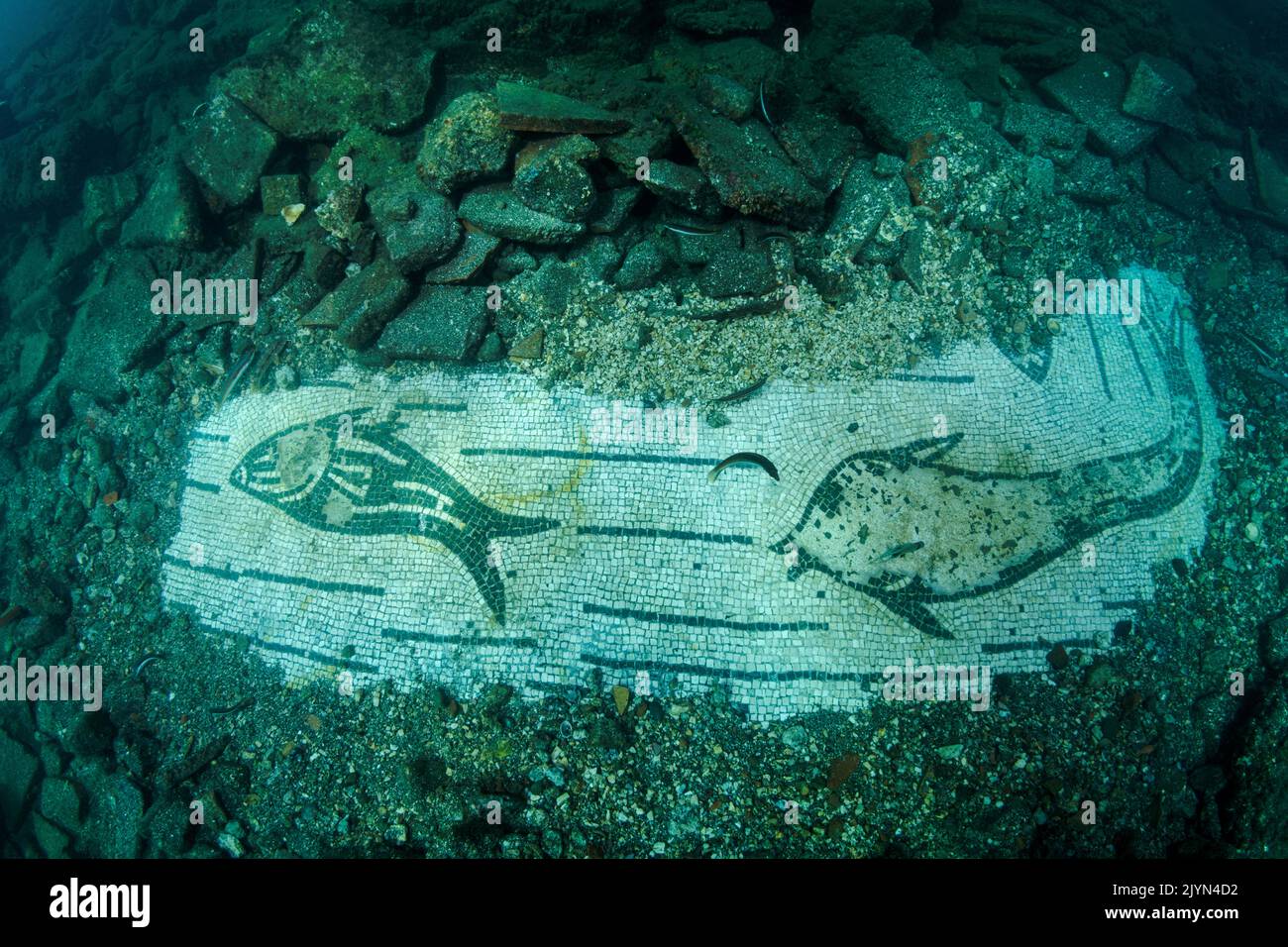 Mosaic of the third century AD, with a maritime theme, made with black ...