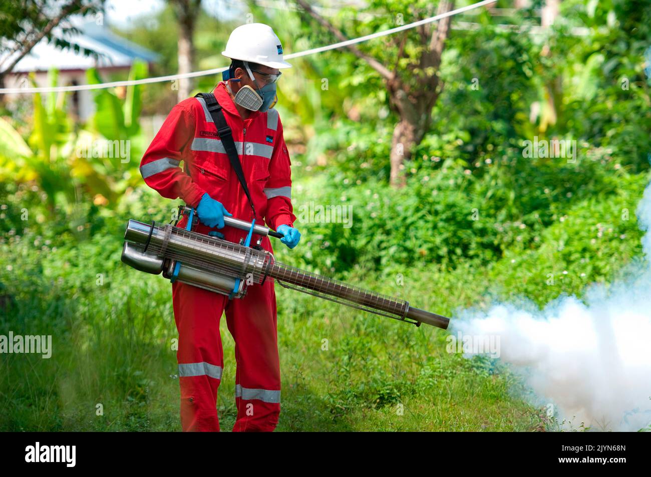 Man spreading insecticide, West Papua - Malaria control Stock Photo - Alamy