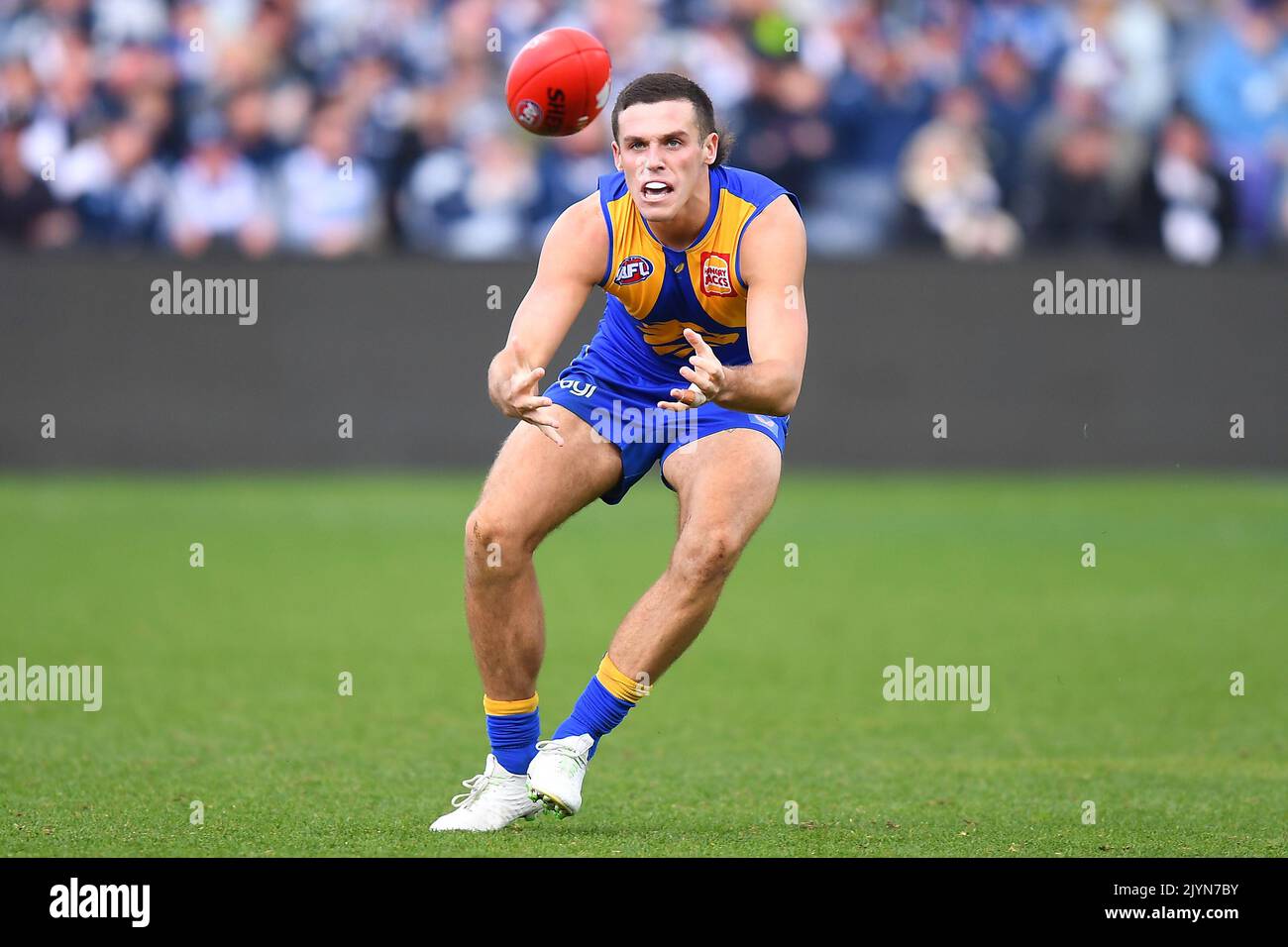 Jake Waterman of West Coast in action during the Round 6 AFL match ...