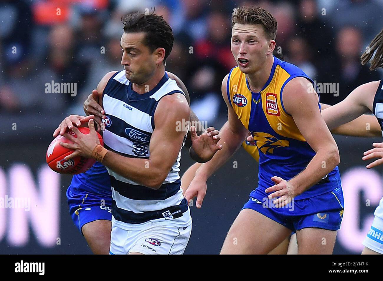 Luke Dahlhaus of Geelong (left) in action during the Round 6 AFL match ...