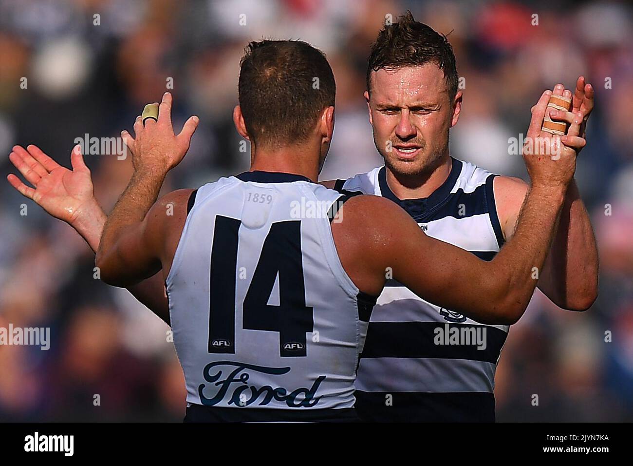 Mitch Duncan of Geelong (right) reacts during the Round 6 AFL match ...