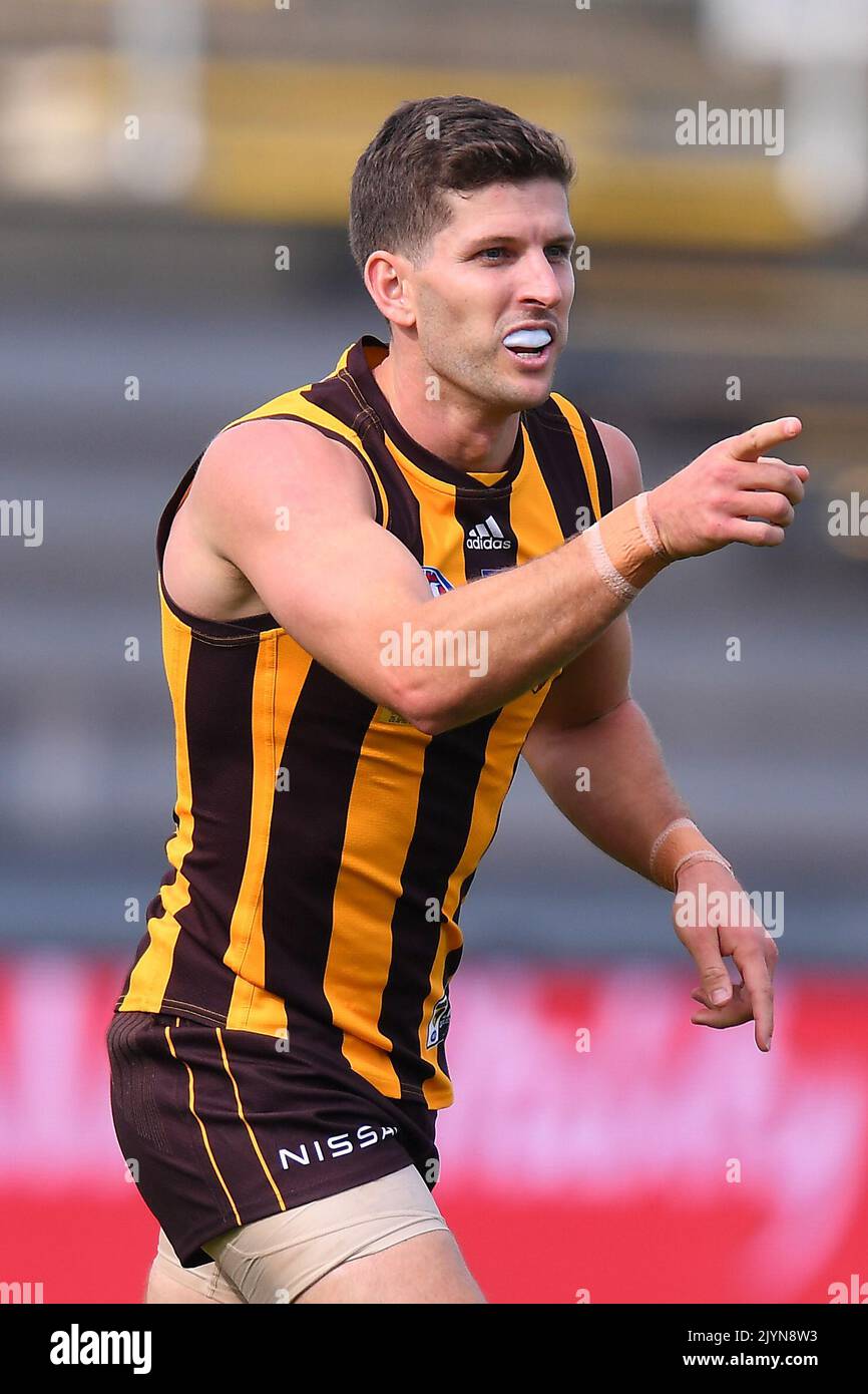 Luke Breust of Hawthorn reacts after kicking a goal during the Round 6 ...