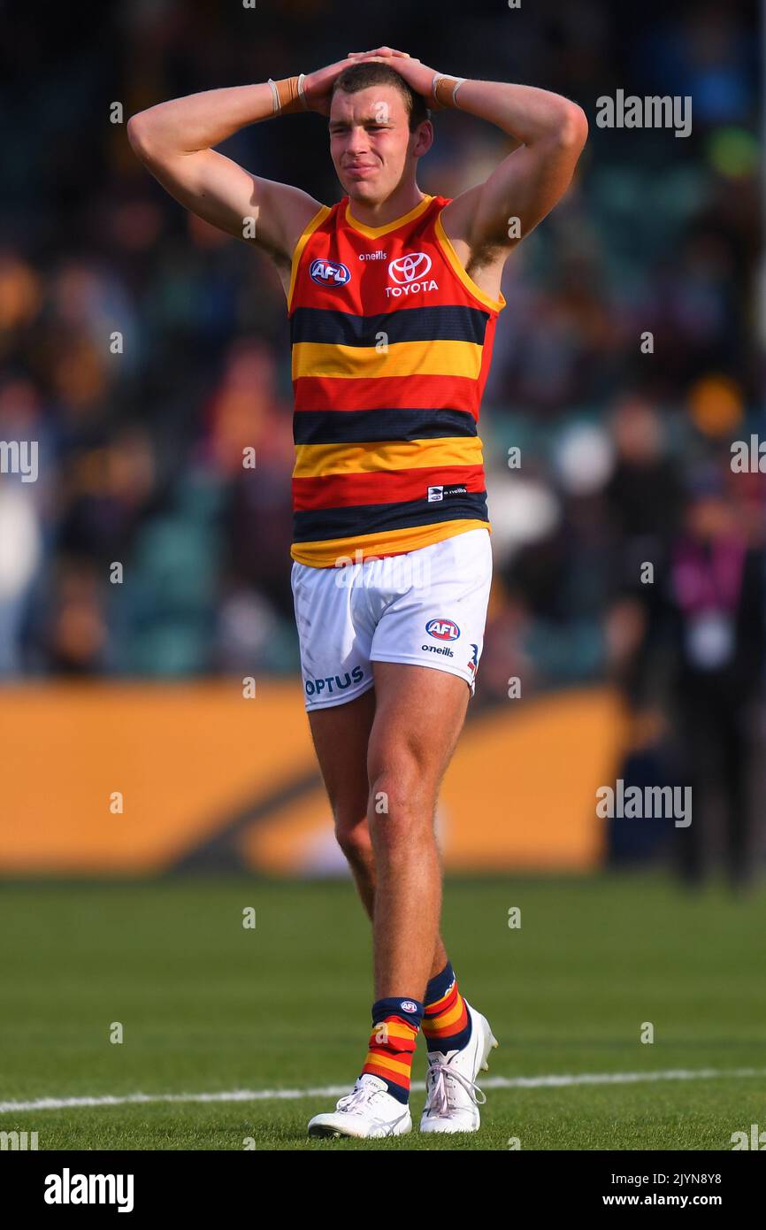Riley Thilthorpe of the Adelaide Crows looks dejected after being ...