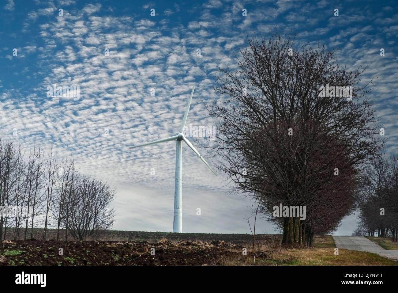 Electrogenerator, wind propeller, wind turbines, green energy, Dobrudja ...