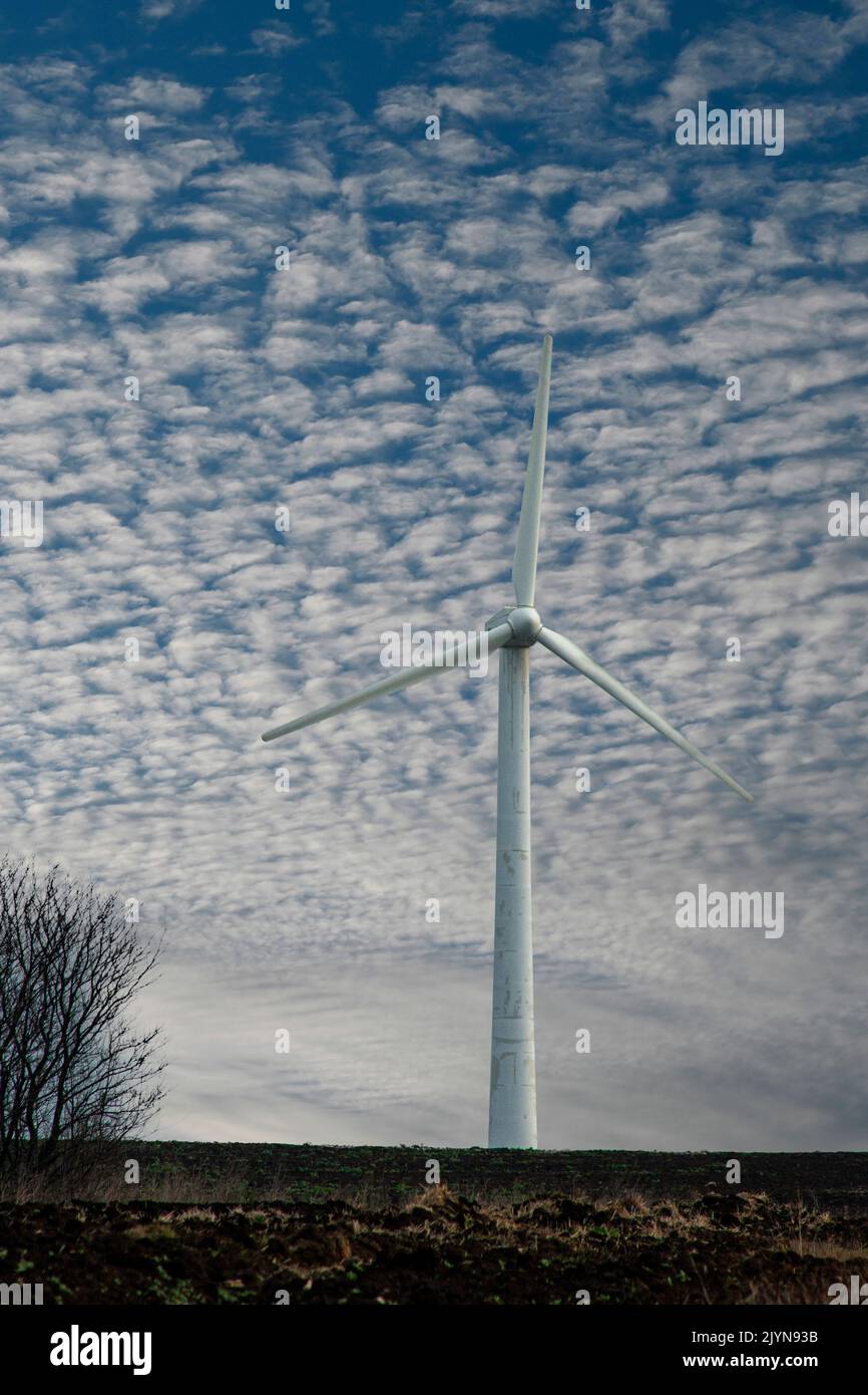 Electrogenerator, wind propeller, wind turbines, green energy, Dobrudja ...