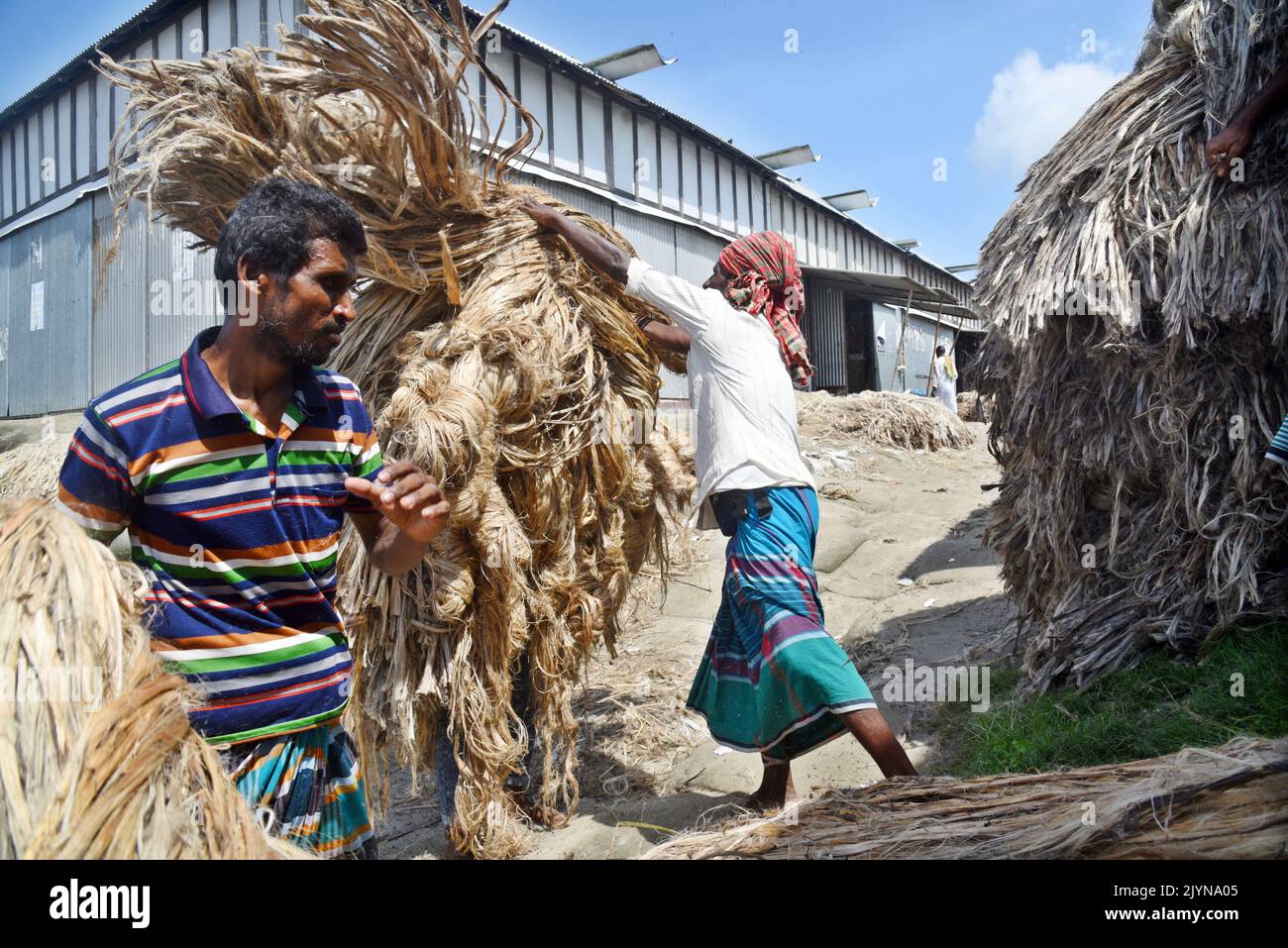Workers carry jute in the bank of Padma River at a rural market in ...