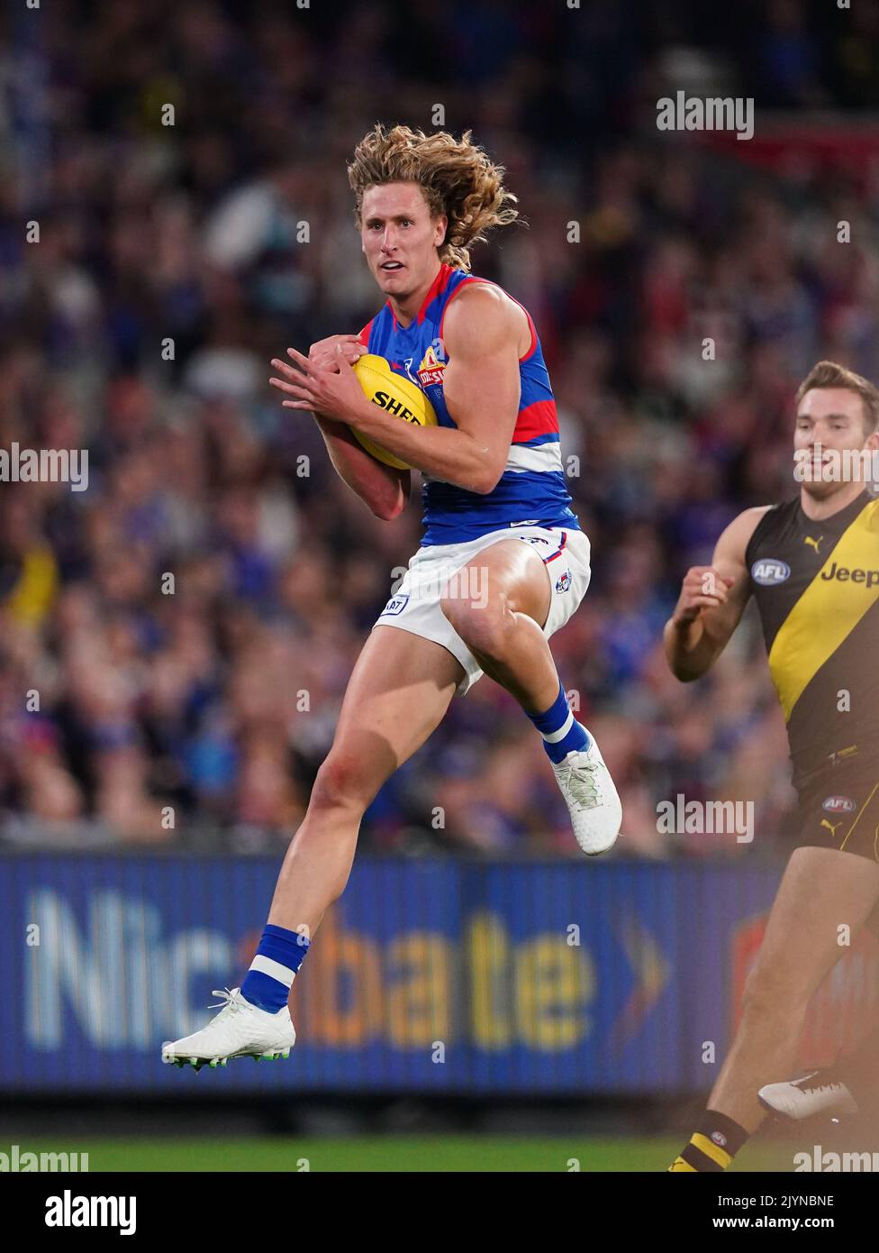 Aaron Naughton of the Bulldogs marks the ball during the Round 7 AFL ...
