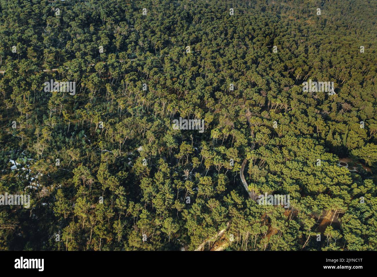 Top-down aerial view over a tropical island on the Adriatic coastline ...