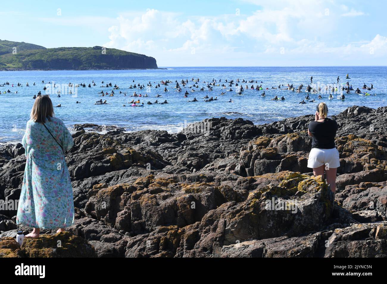 More than 600 surfers participate in a world record attempt paddle out ...