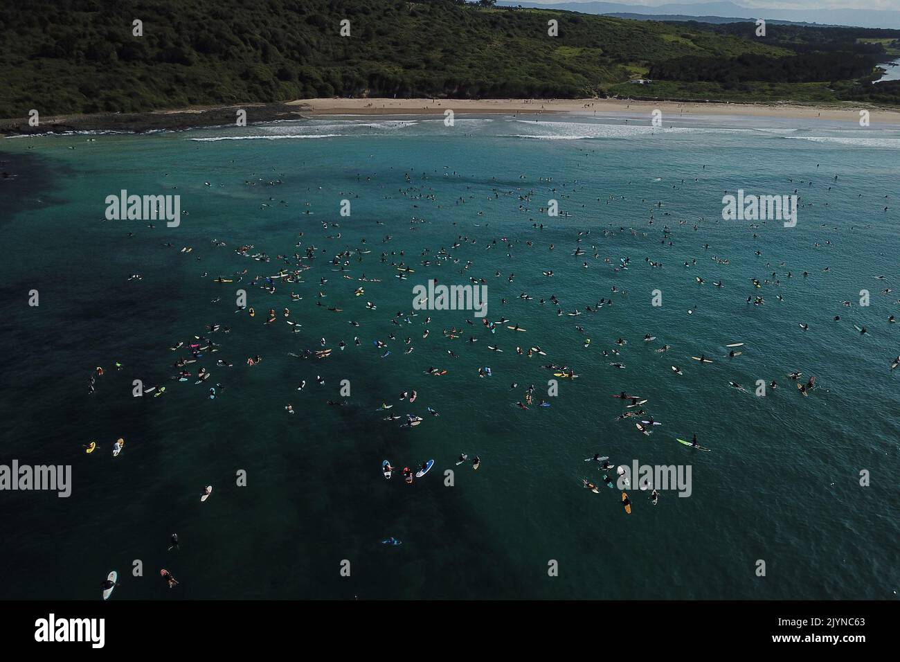 More than 600 surfers participate in a world record attempt paddle out ...