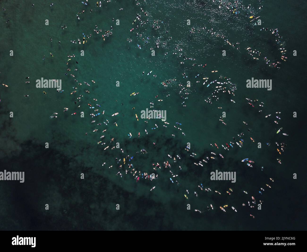 More than 600 surfers participate in a world record attempt paddle out ...