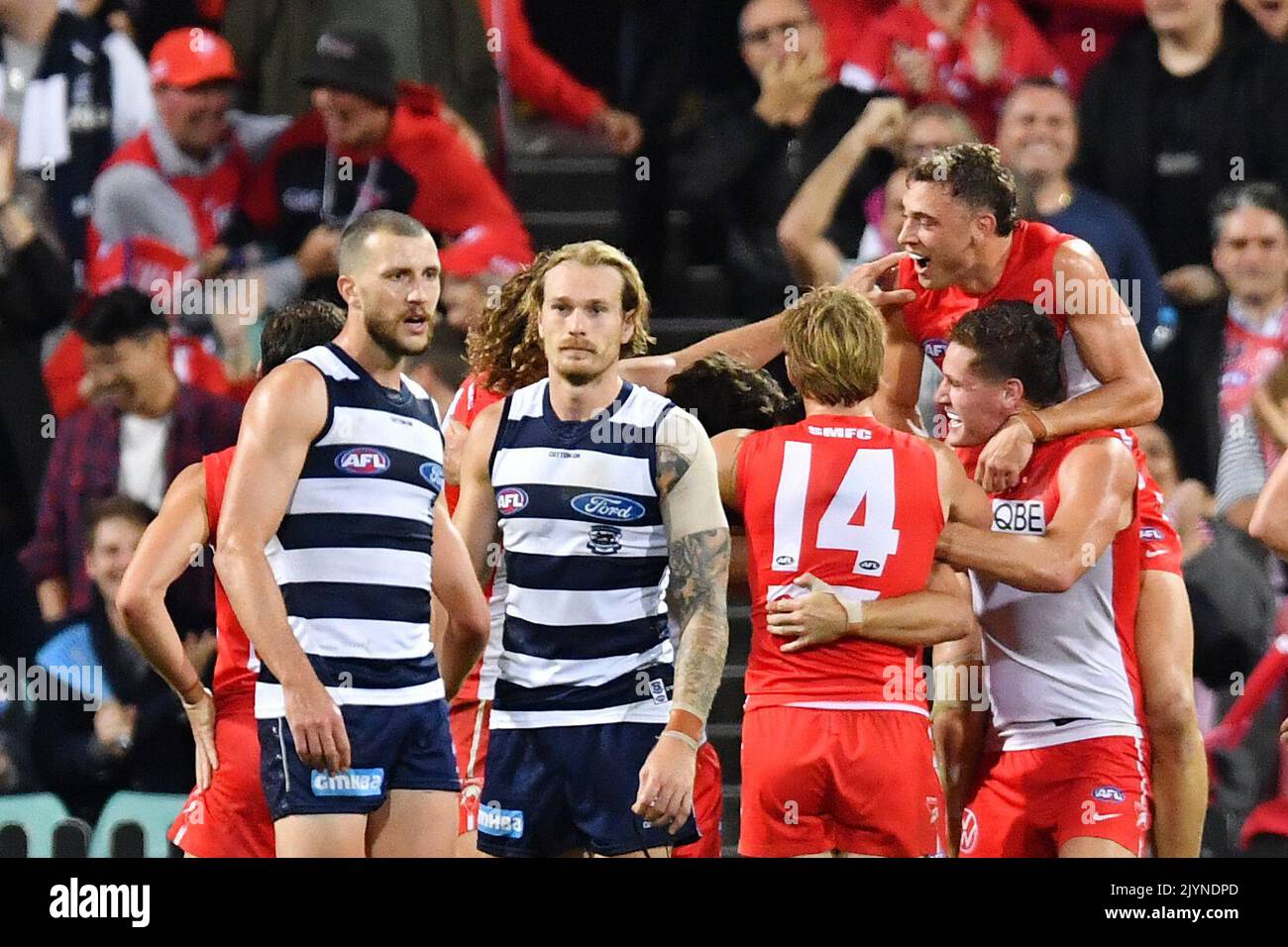 The Swans celebrate after defeating the Cats during the Round 7 AFL ...