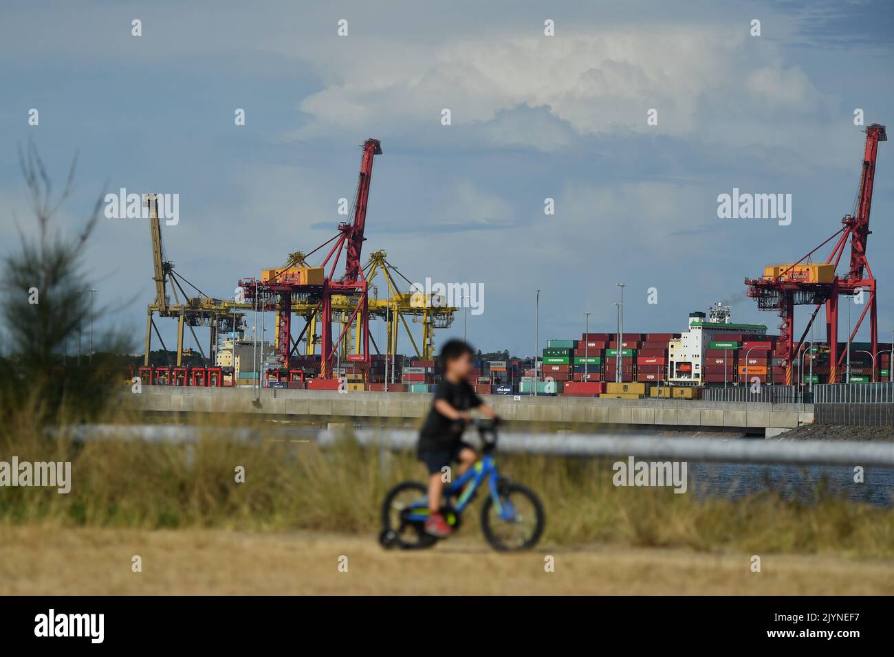 Containers sit idle at the Port Botany container terminal in Sydney ...