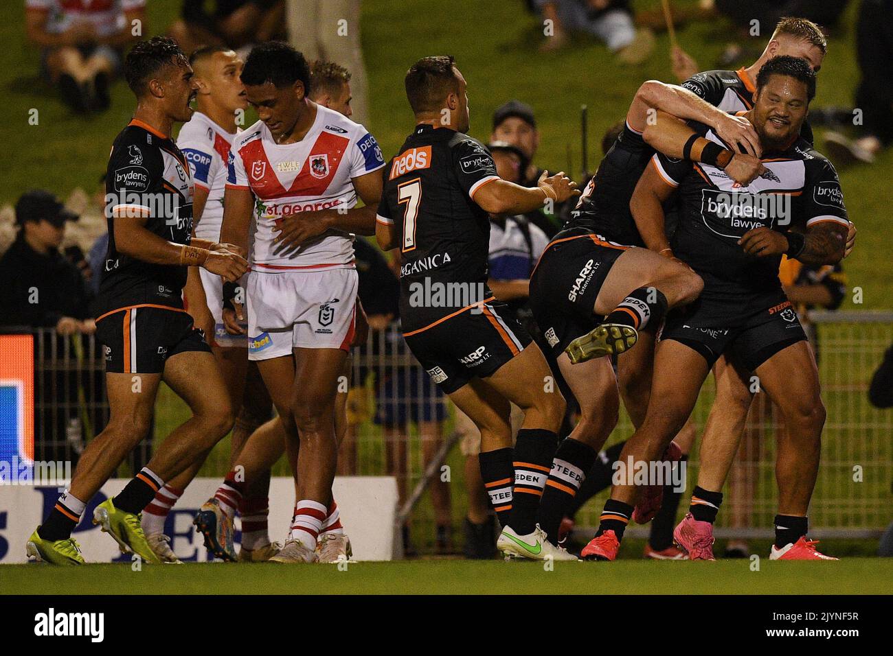 Joseph Leilua of the Tigers celebrates his try with his team mates ...