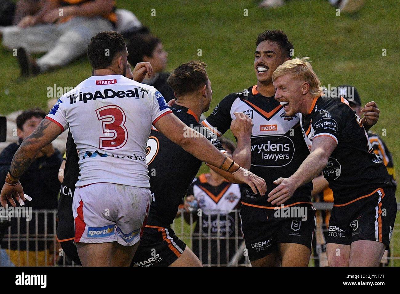 Zac Cini of the Tigers celebrates after scoring a try on debut during ...