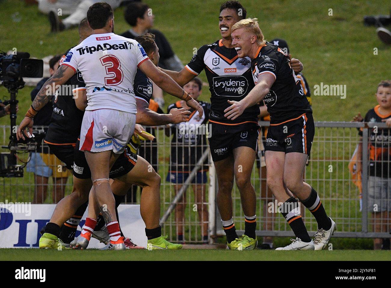 Zac Cini of the Tigers celebrates after scoring a try on debut during ...
