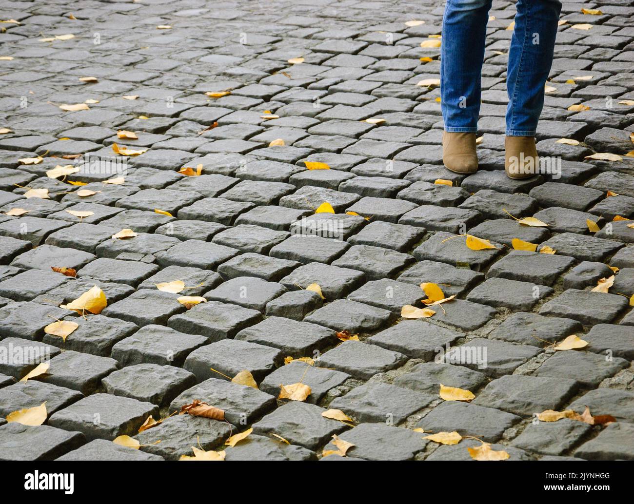 Closeup of young woman legs on Parisian cobblestone street covered with ...