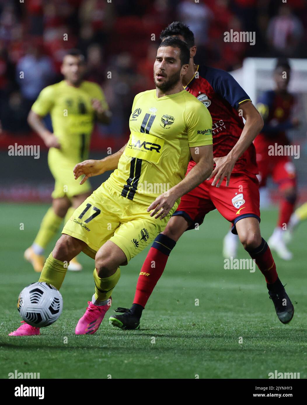 Tomer Hemed of the Phoenix during the A-League match between Wellington ...