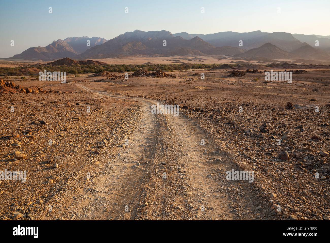 Gravel road towards the dry bed of the Ugab river. Behind the Brandberg ...