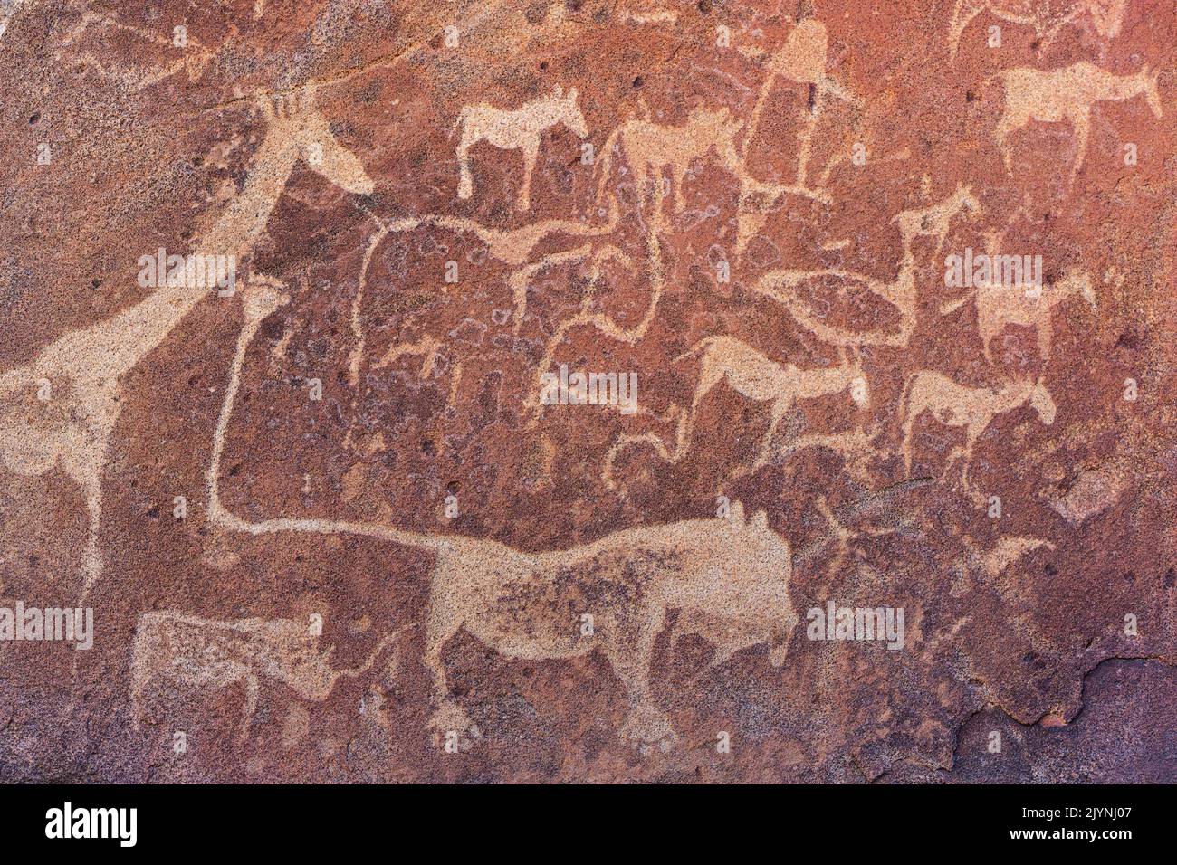 The famous lion panel at the Twyfelfontein rock engravings west of the ...