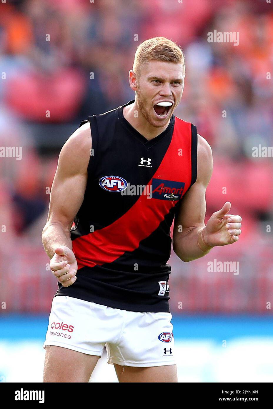 Peter Wright of the Bombers celebrates kicking a goal during the Round ...