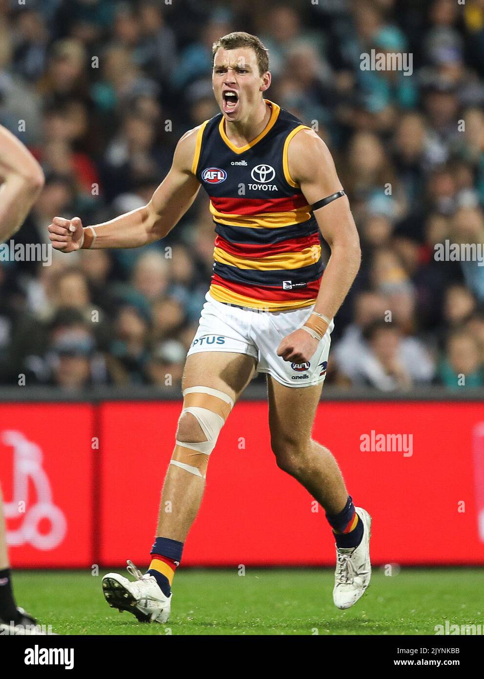 Riley Thilthorpe of the Crows celebrates a goal during the Round 8 AFL ...